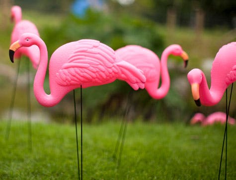 Parma Might Install a 7-Foot Flamingo Statue Next to Its Script City Sign